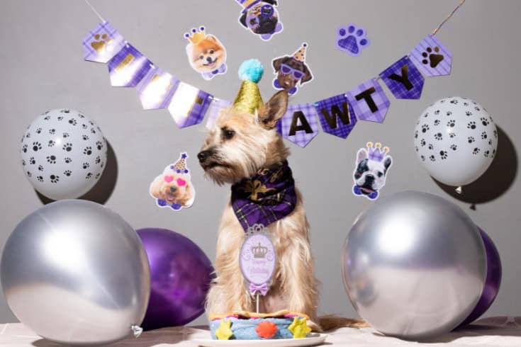 How To Throw The Perfect Birthday Party For Your Dog